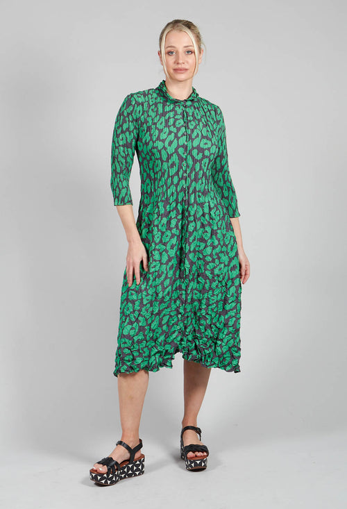 Designer Dresses For Women | Olivia May