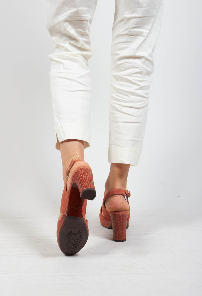 Chie Mihara Backless Heel with Buckle Strap in Dark Rose – Olivia May